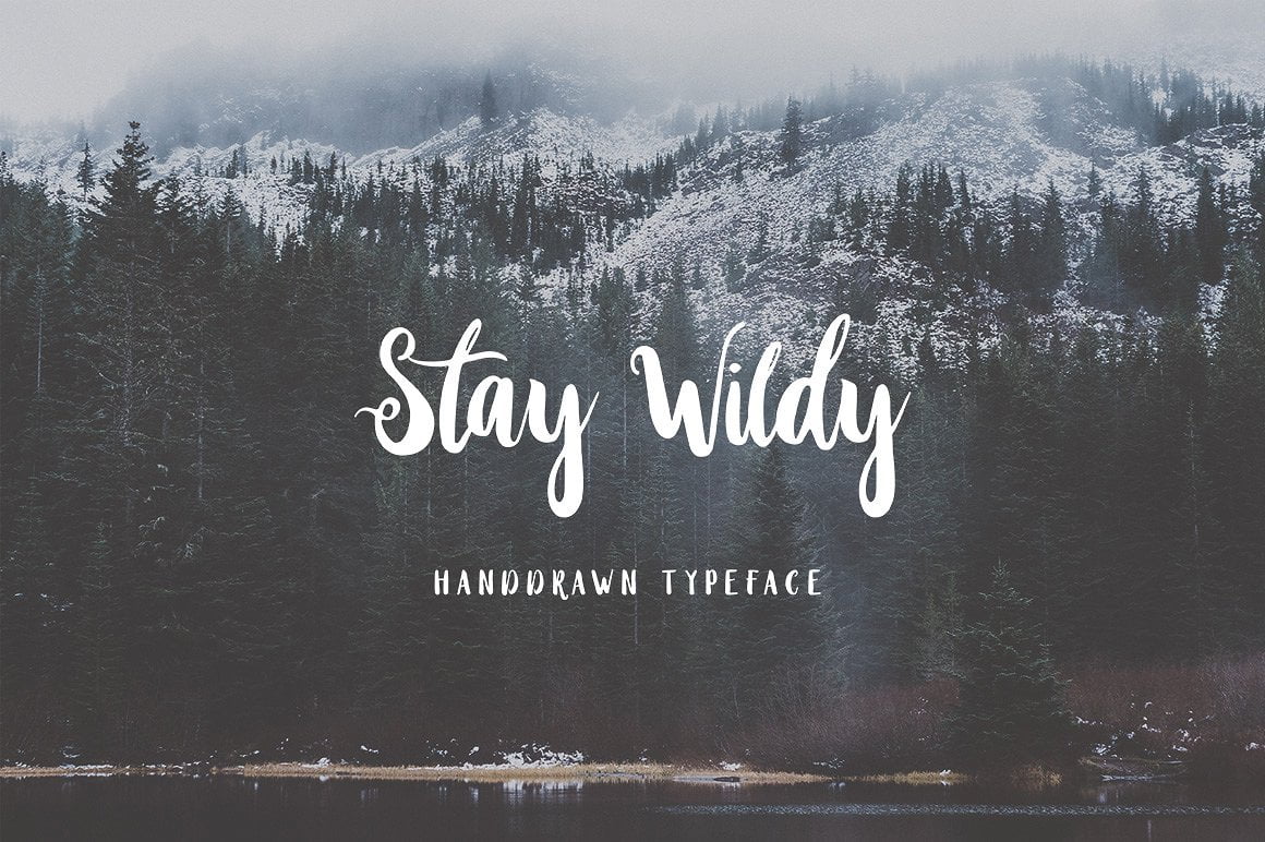 Stay Wildy Script Font - Cool Fonts Guru