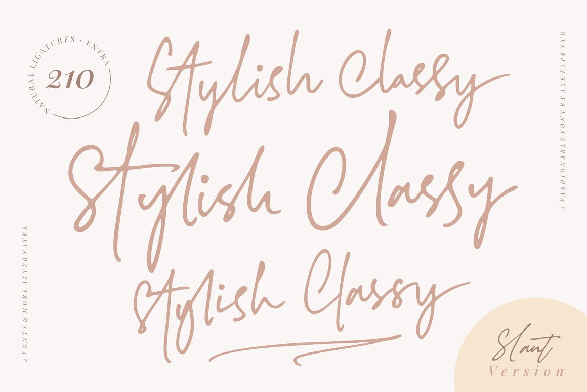 Stylish Classy Script Font - Cool Fonts Guru